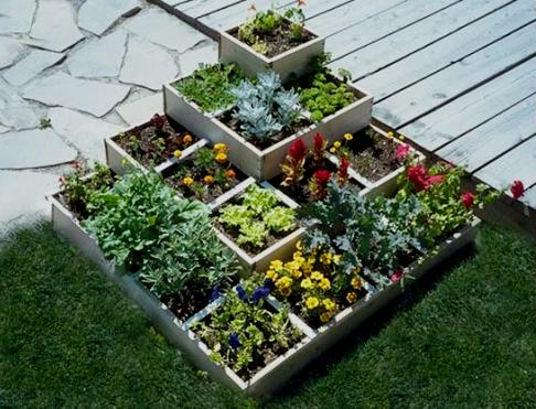 Mini-Hortas: A sustentabilidade cultiva sua mini-horta!