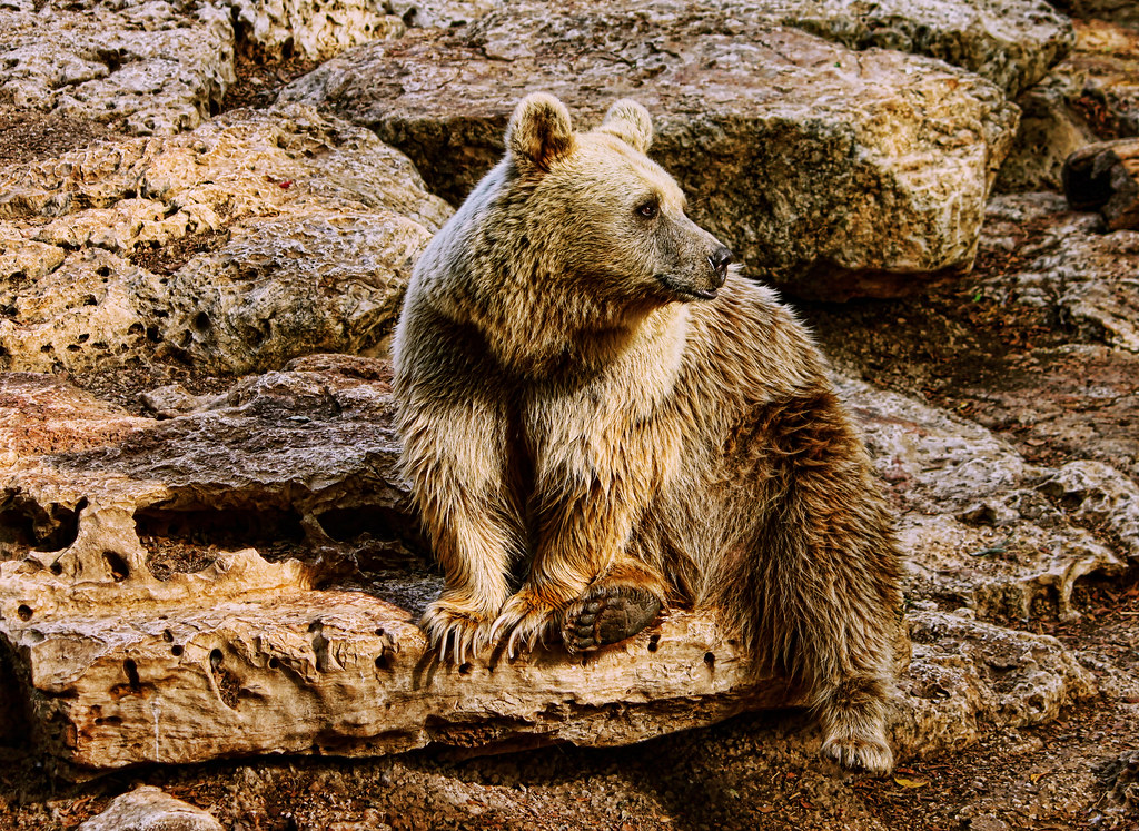 Old European culture: Khafajeh vase