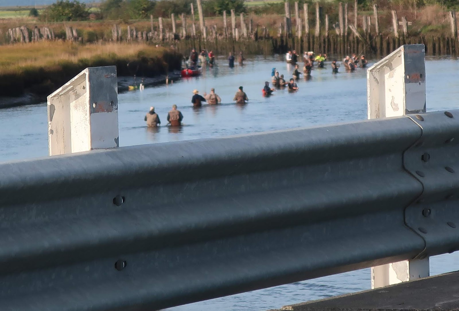 Reading the Washington Landscape: Samish River Gauntlet