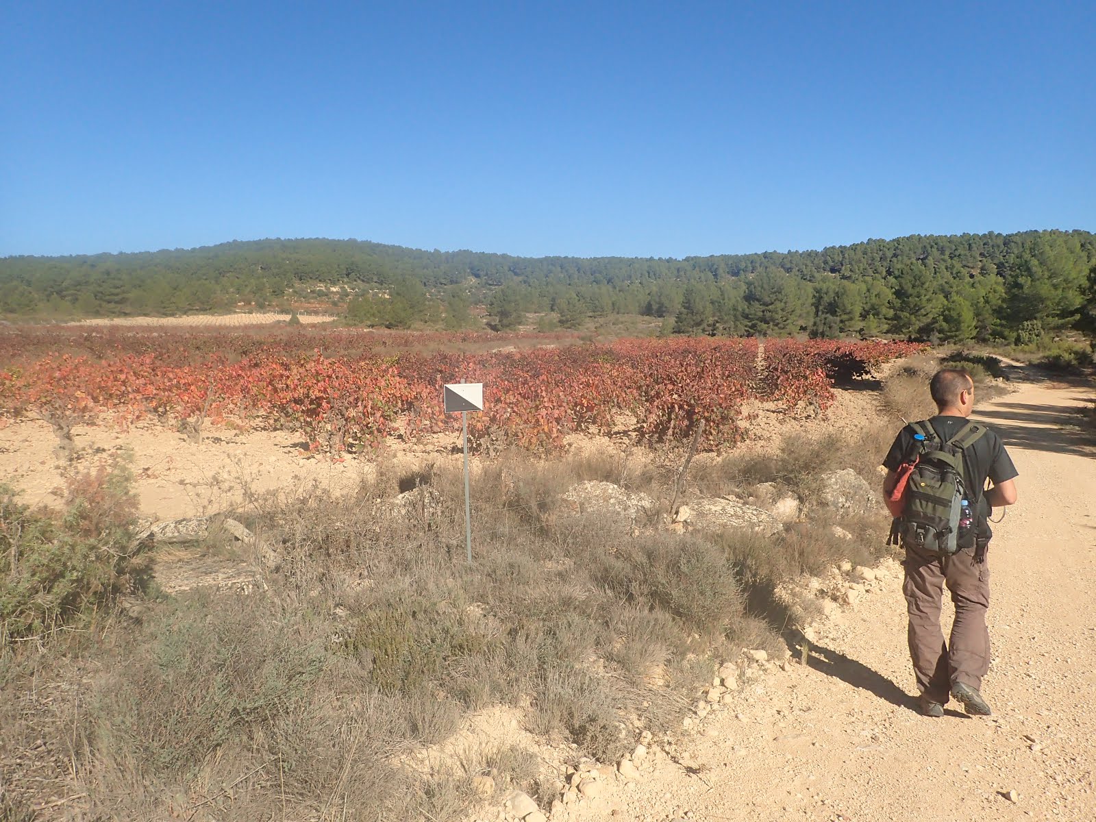 La Telaraña Verde: Hortunas: Cañón del Río Magro