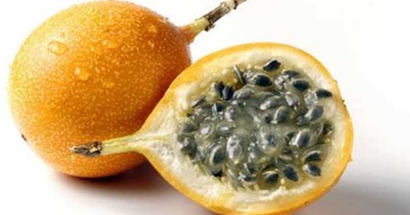 Info Kesehatan dan Tips Kesehatan: Manfaat Buah Markisa