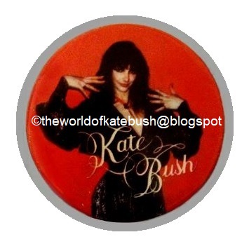 THE WORLD OF KATE BUSH: Badges