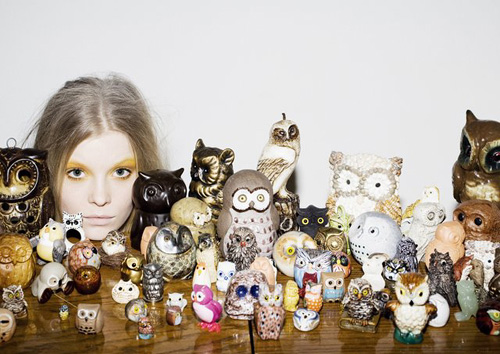 My Owl Barn: Owl Collection