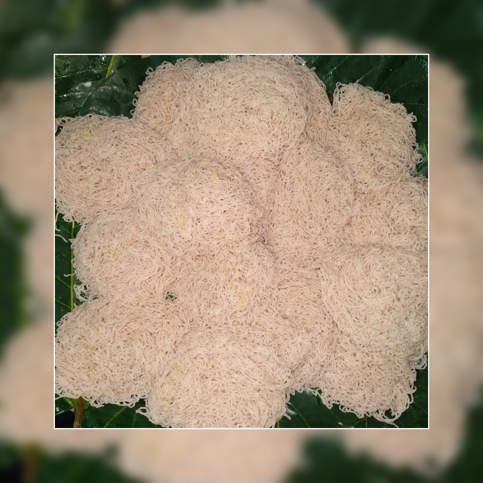 Tulunad Food ~ Life in Tulunad