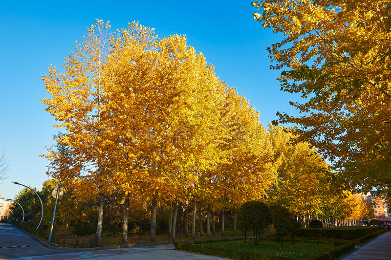 Ruang Lingkup Biologi yang Jarang Dipelajari