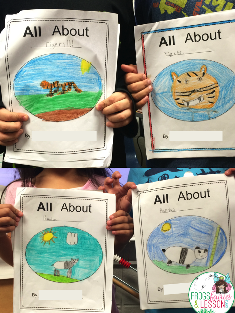 Frogs, Fairies, and Lesson Plans: Writing an Animal Book