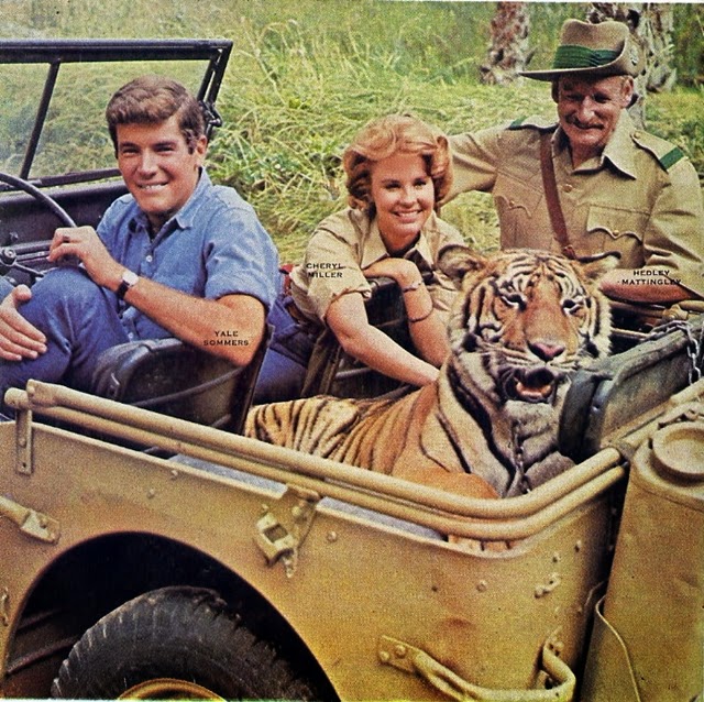 Dfanatic's Hell House: Daktari And Summer TV