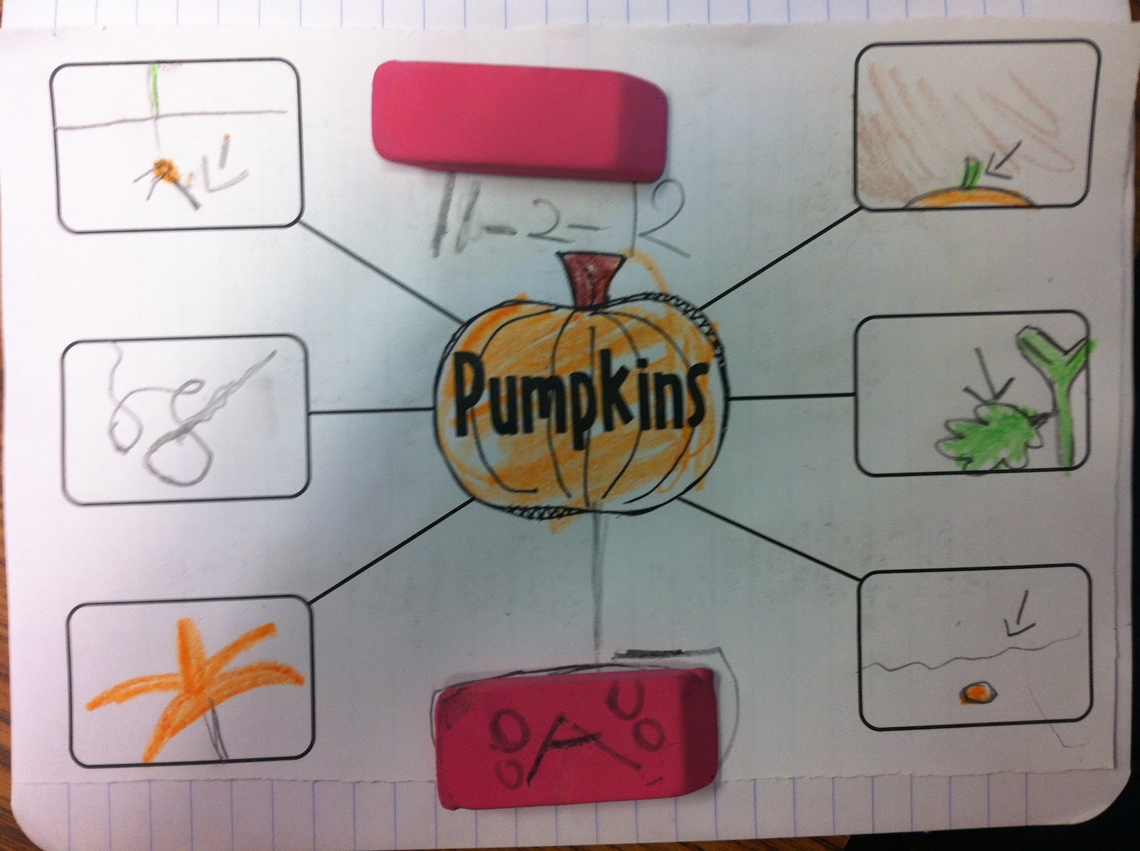 The Adventures of a K/1 Teacher: Fun with Plants