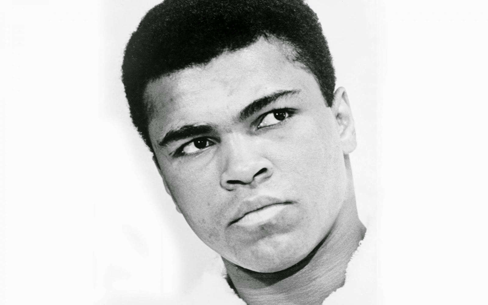 Muhammad Ali - HD Wallpaper Wall