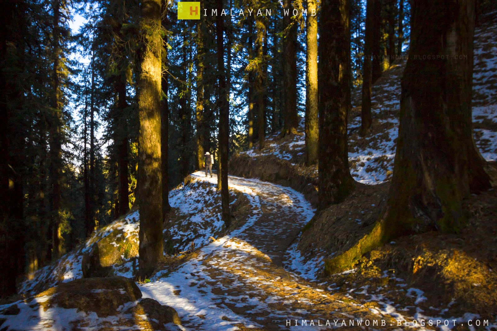 विंटर ट्रैकिंग : रोहांडा से कमरुनाग झील (Winter Trekking : Rohanda to ...