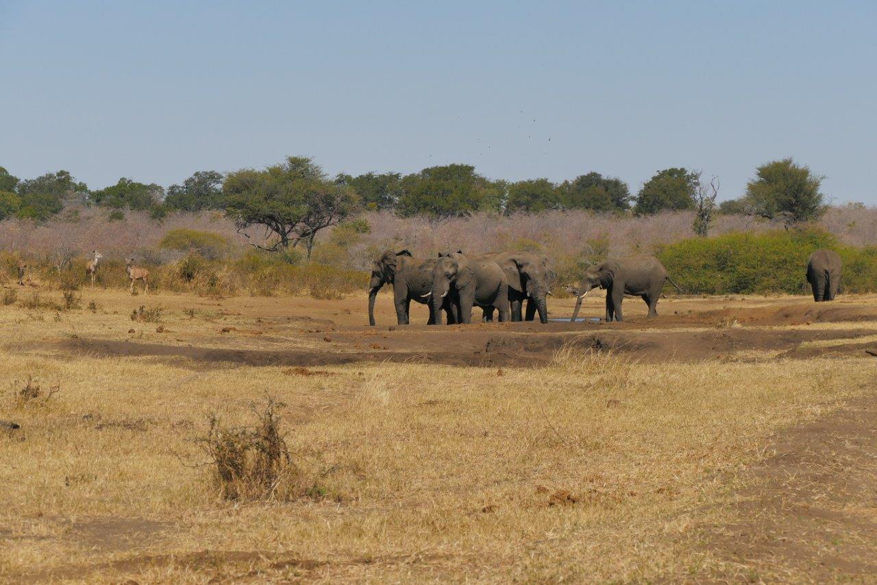 Southern Africa's Ramsar Sites: Bwabwata-Okavango (Namibia)