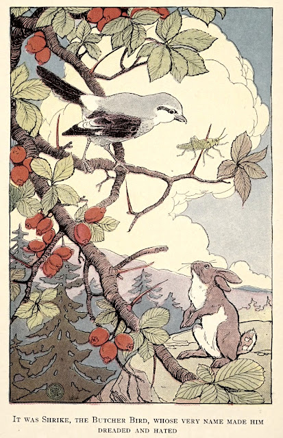 The Art of Pierangelo Boog: EDWIN JOHN PRITTIE: IIlustrations for ...