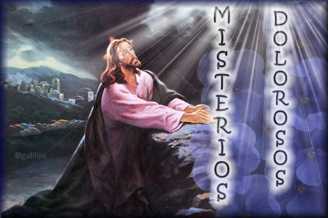 ® SAGRADOS CORAZONES DE JESÚS Y MARÍA ®: IMÁGENES DEL SANTO ROSARIO ...