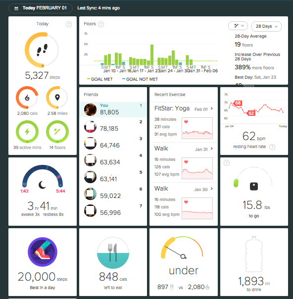TESTHEAD: Aedificamus: Product Review: Fitbit Surge and Fitbit Portal
