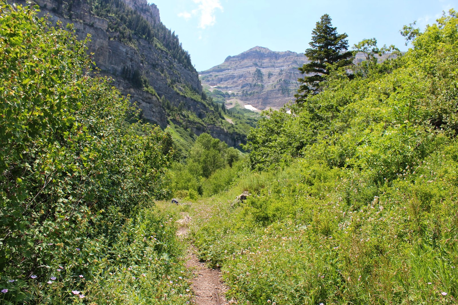 gjhikes.com: Timpanogos Falls