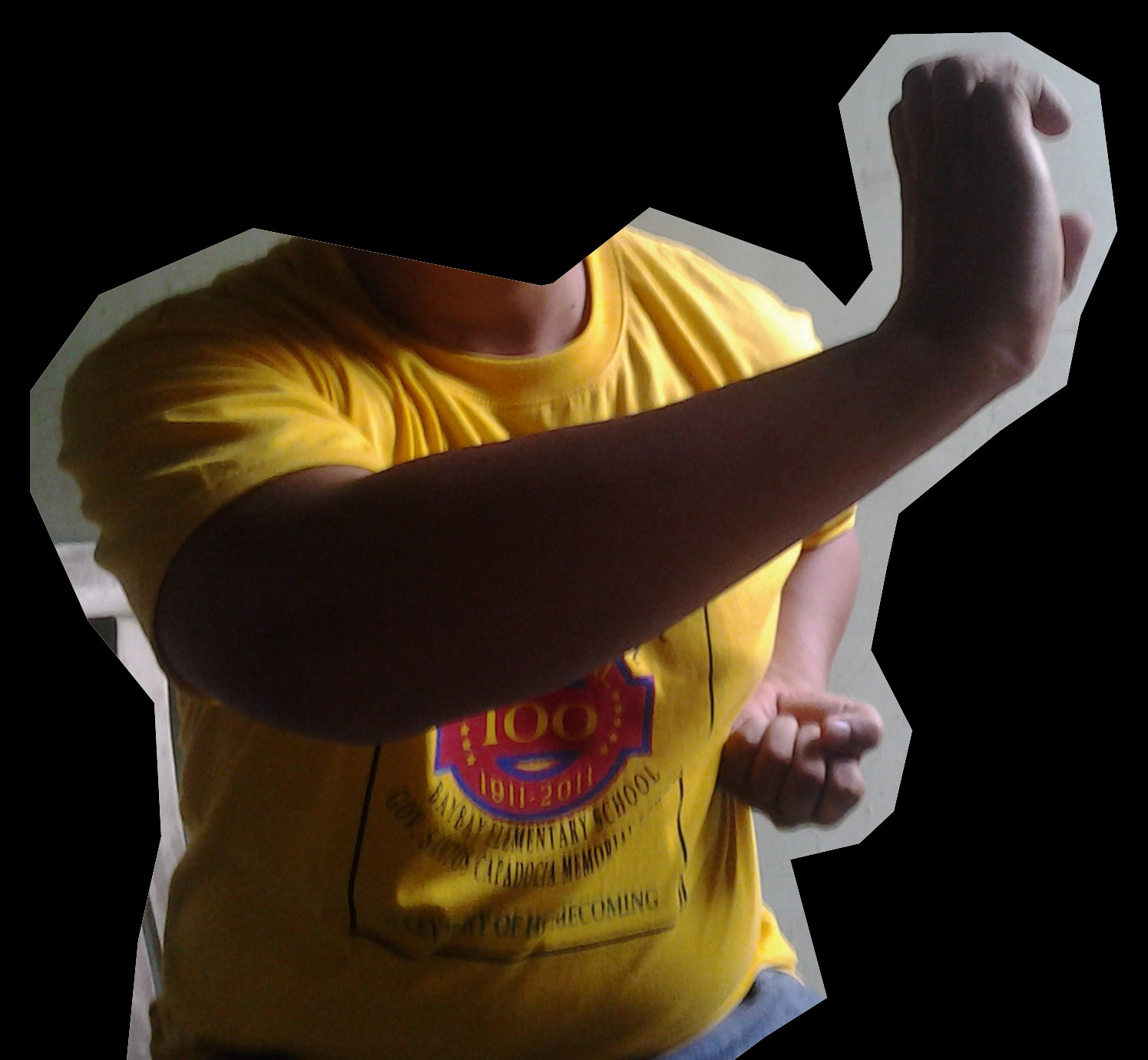 Mantis36: WING CHUN KUNG FU: Alphabets of Techniques