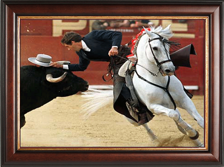 tauromaquia: El Rejoneo