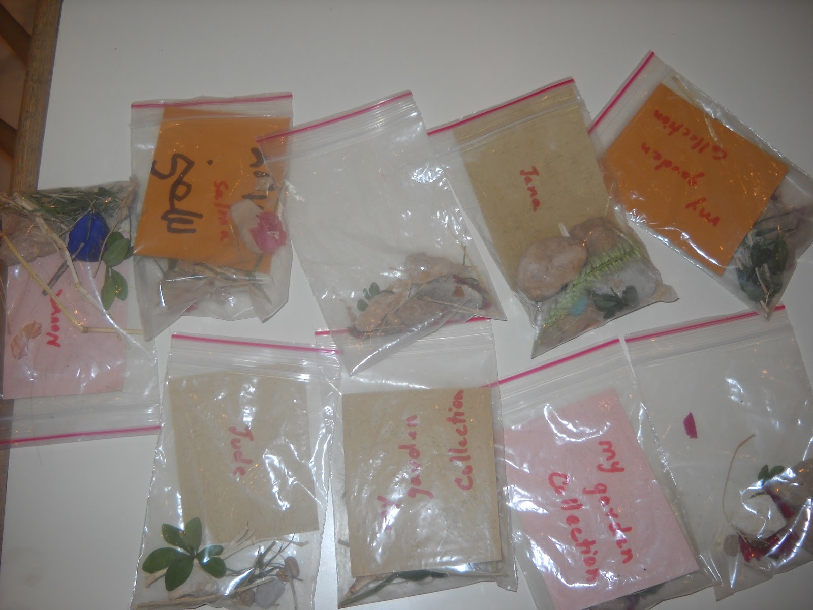 Children Learn Best in their Freeplay: NATURE - SORTING ACTIVITY