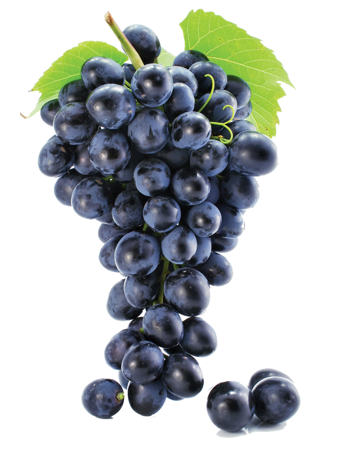 Uvas | Grapes