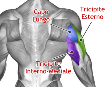 DEVIOUS SALUTE: FITNESS: TRICIPITI