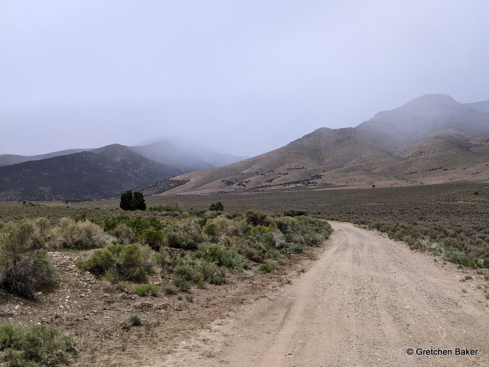 Desert Survivor: Kalamazoo Road, White Pine County, Nevada