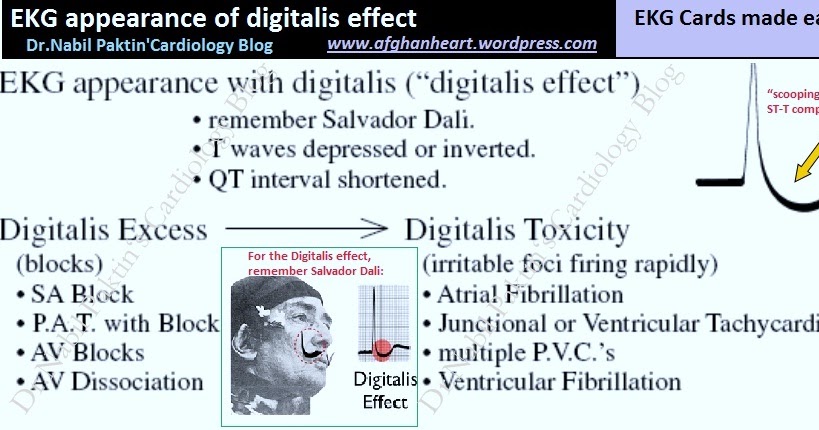 Dr.Nabil Paktin's Cardiology Blog مجله کاردیولوژی دکتور نبــیل پاکطـین ...
