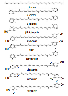 Karotenoid dari Makroalgae dan Mikroalgae: Potensi Kesehatan Aplikasi ...