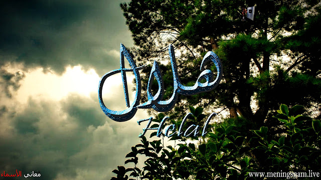 معنى اسم هلال وصفات حامل هذا الاسم Helal - معاني الأسماء ومعاني الكلمات ...