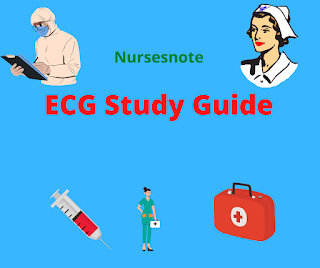 ECG study guide, PDF download link - Nurses Note