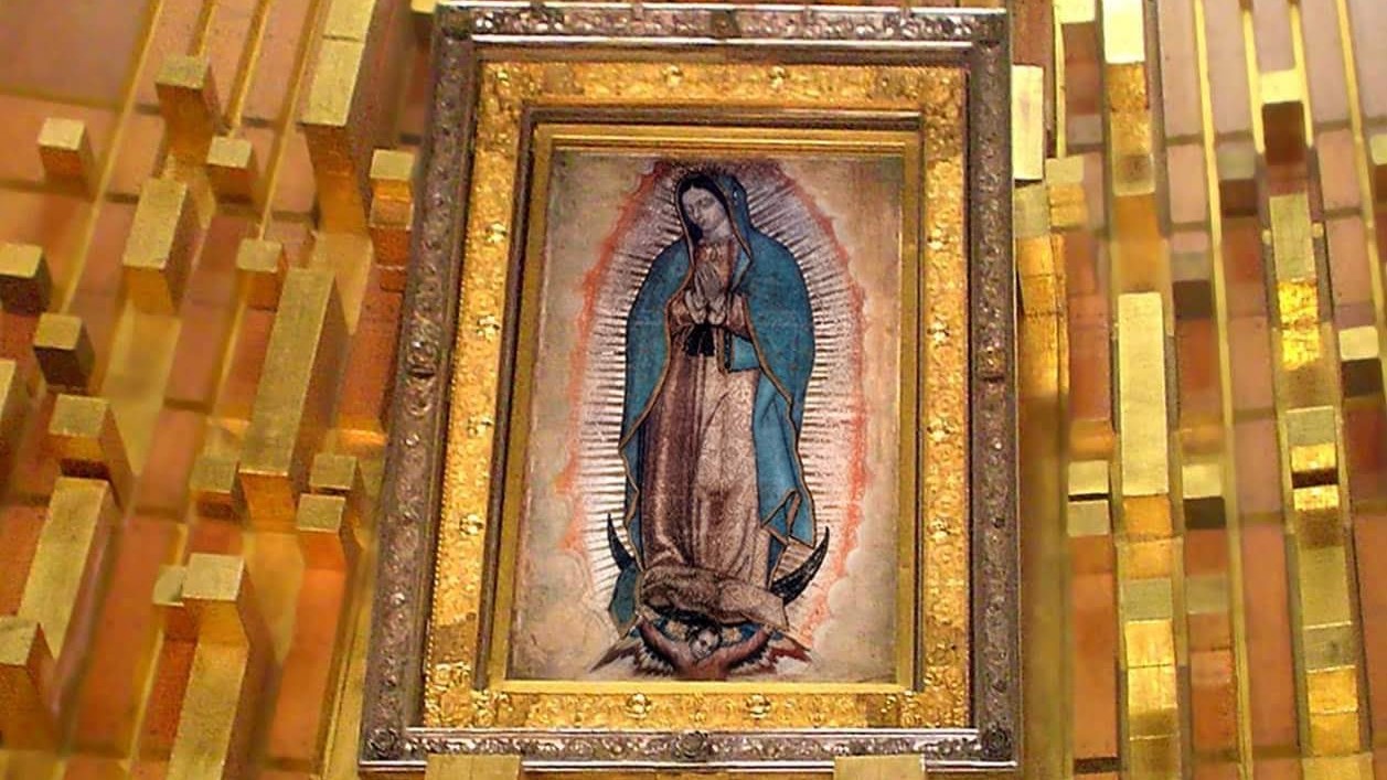 CATÓLICO DEFIENDE TU FE: Las 5 apariciones de la Virgen de Guadalupe