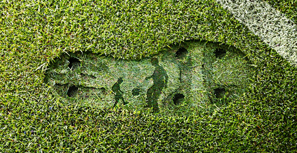 The Green Radar: The Football Carbon Footprint