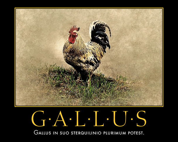 Bestiaria Latina Blog: Latin Proverbs and Fables Round-Up: September 4