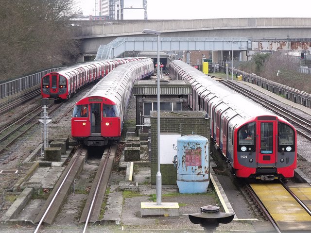 A Transport of Delight: 44 years old