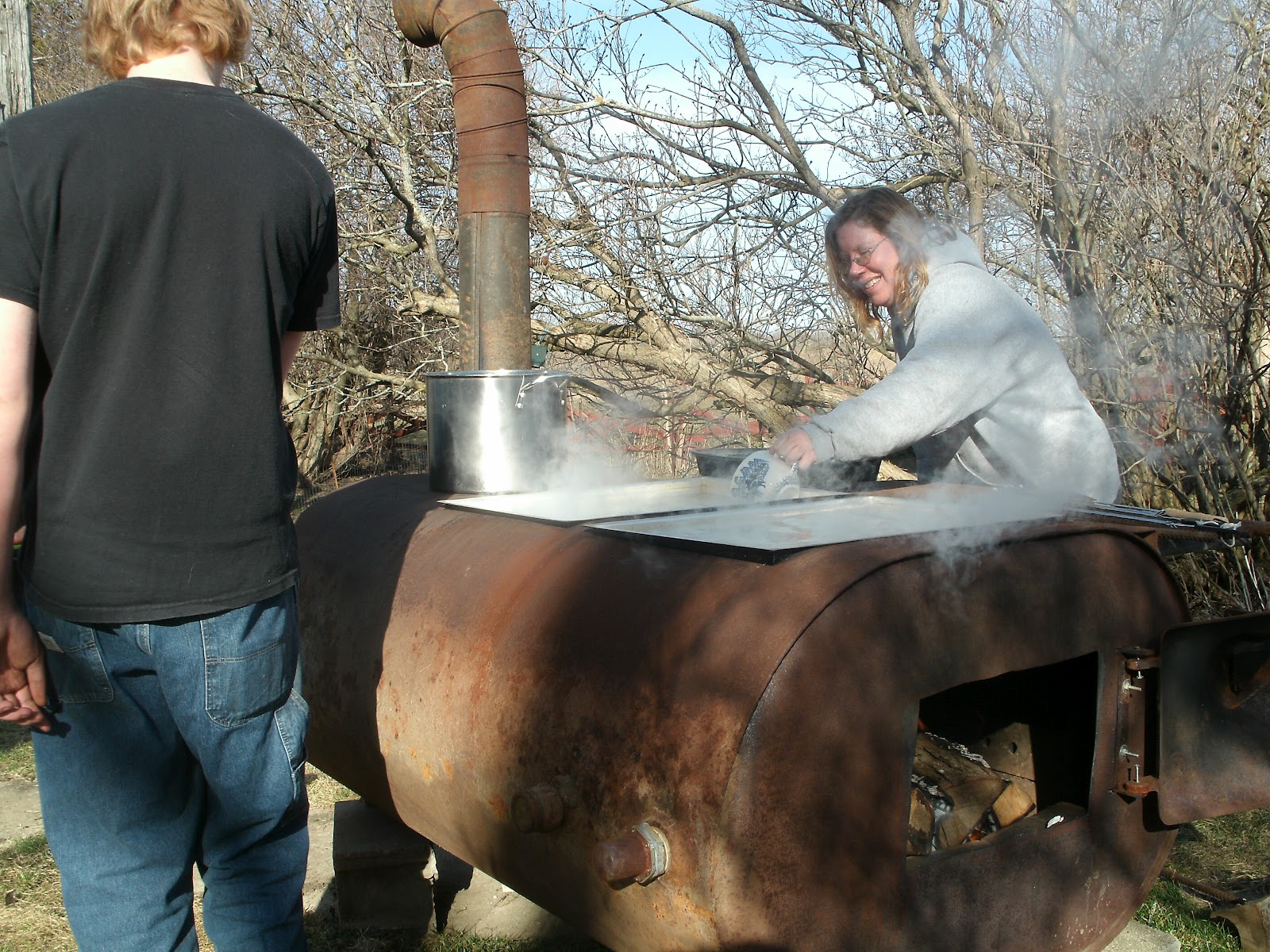 Living On Da Hedge: Seasonal Changes: Maple Tapping
