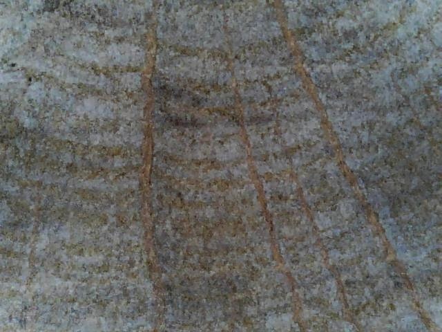 Isabella Conservation District Environmental Education Program ...