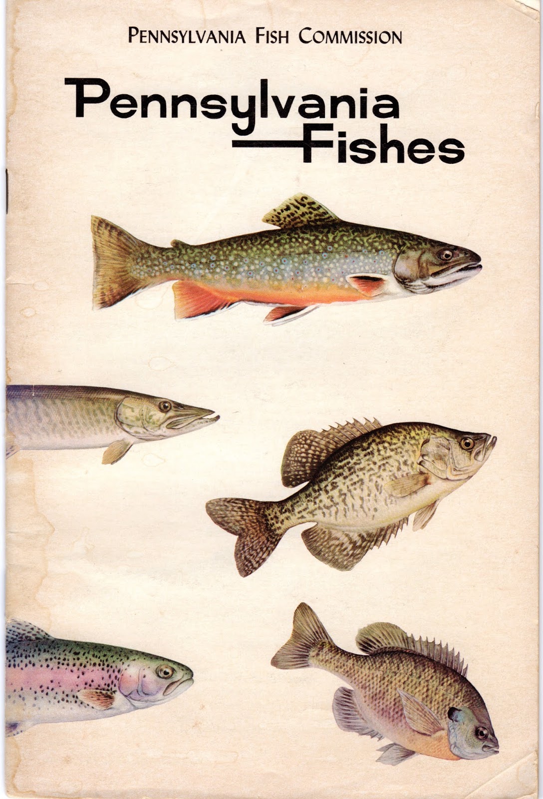 Ichthyology Books: United States / Canada / Mexico