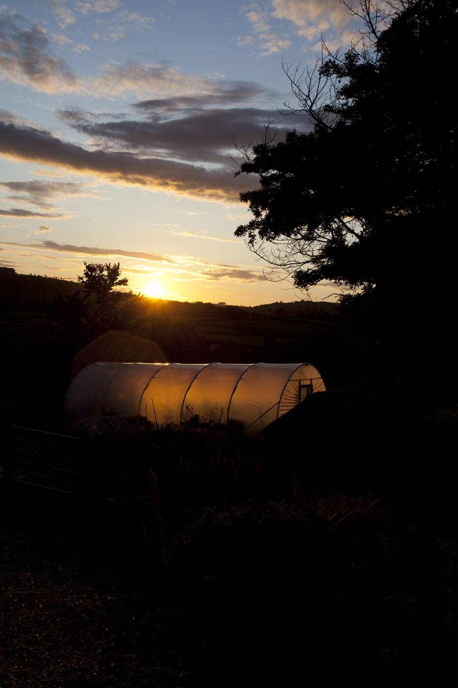 Pant yr Hwch: The Farming at Pant yr Hwch