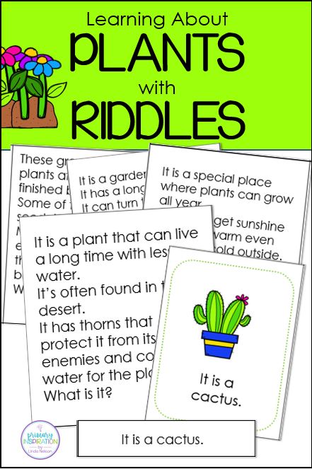 Primary Inspiration: Learning About Plants with Crosscurricular ...