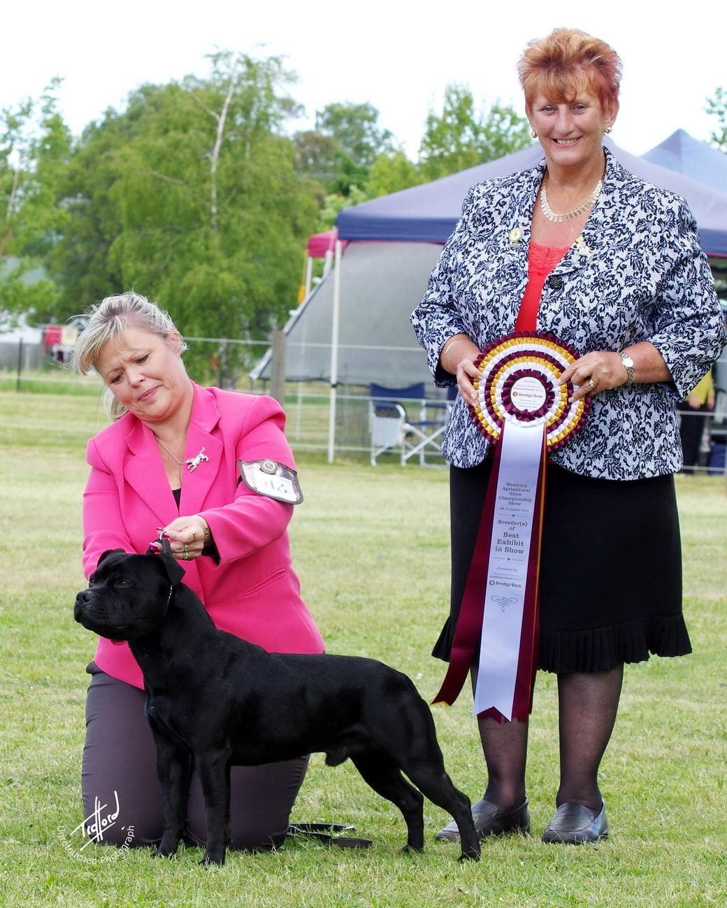 TraffordPhotos - Australian Dog Show Photos: WESTBURY AGRICULTURAL SOCIETY