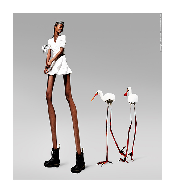 Long Legged Ladies Updates