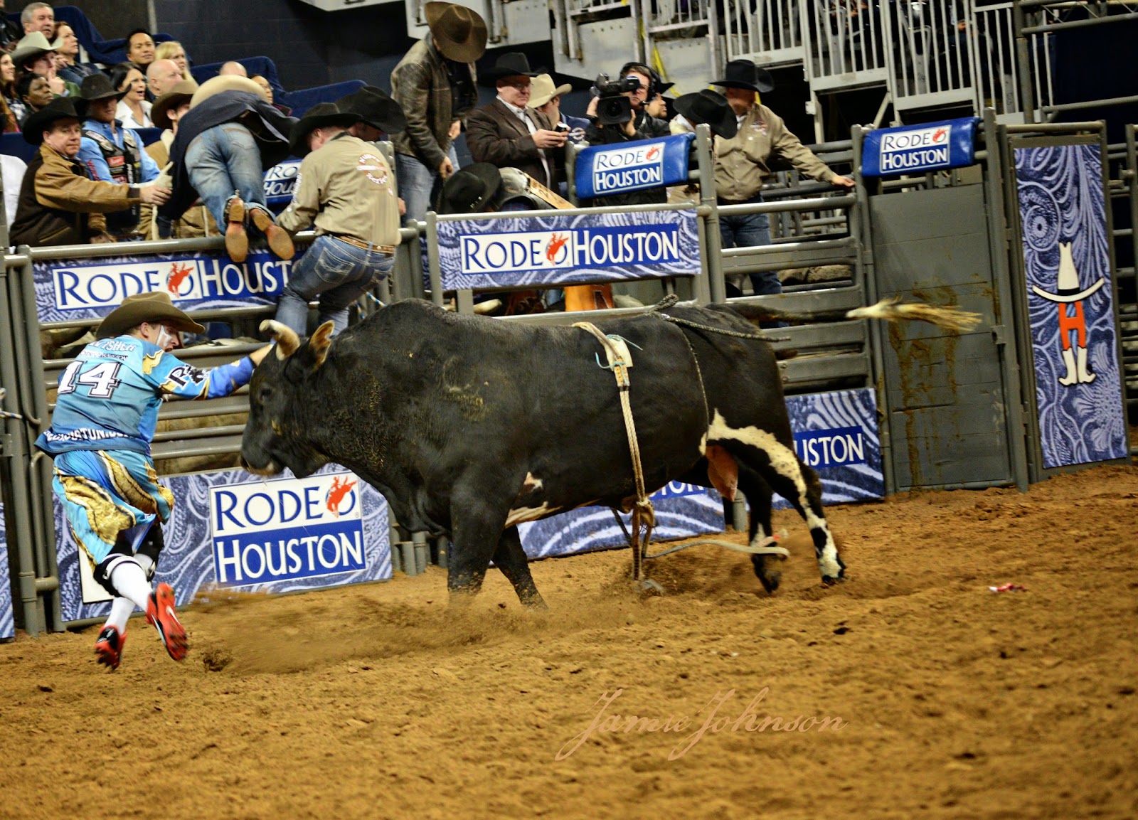 JAMIE JOHNSON -Photographer: Humble Kingwood Houston Dallas TX Cowboy ...