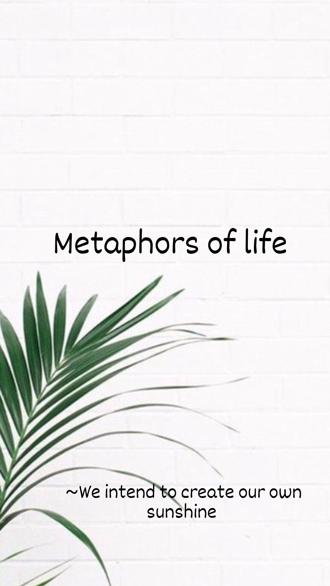 Metaphors of life