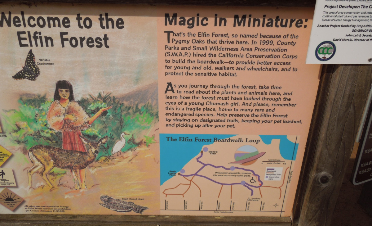 The Elfin Forest in Los Osos, California: A Review in Photos