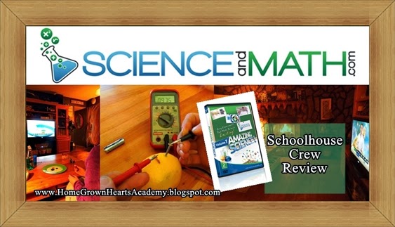 Home Grown Hearts Academy Homeschool Blog: ScienceandMath.com Review