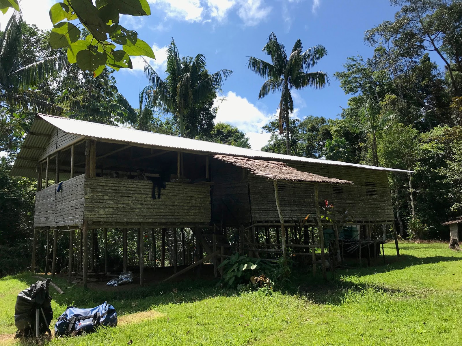 Matt Eade's Blog: Papua New Guinea - Kiunga & Kwatu June 2019 (Part 3)