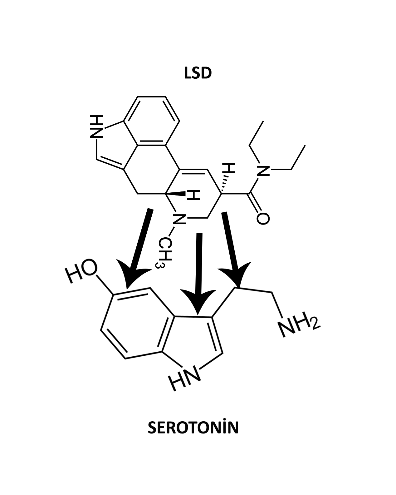 ALBERT HOFMANN'IN PROBLEMLİ ÇOCUĞU; LSD PART I