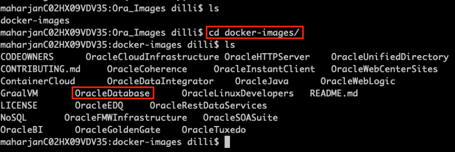 Install Oracle Database 19c In Docker Container ~ Dilli S