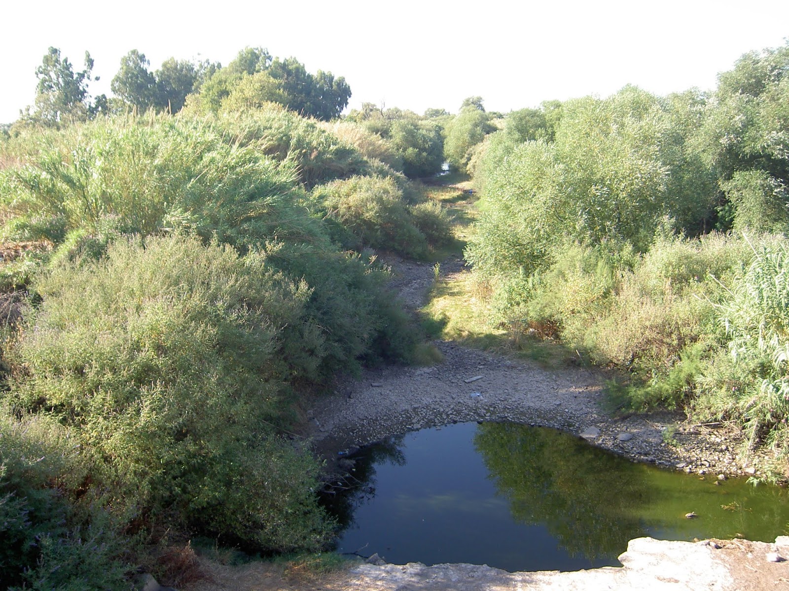 ΓΙΑΝΝΗΣ Δ.ΛΥΡΑΣ: ΤΟ ΠΟΤΑΜΙ ΜΑΥΡΟΖΟΥΜΕΝΑ ΚΑΙ ΟΙ ΛΙΜΝΕΣ ΤΗΣ ΣΤΗΝ ΠΕΡΙΟΧΗ ...