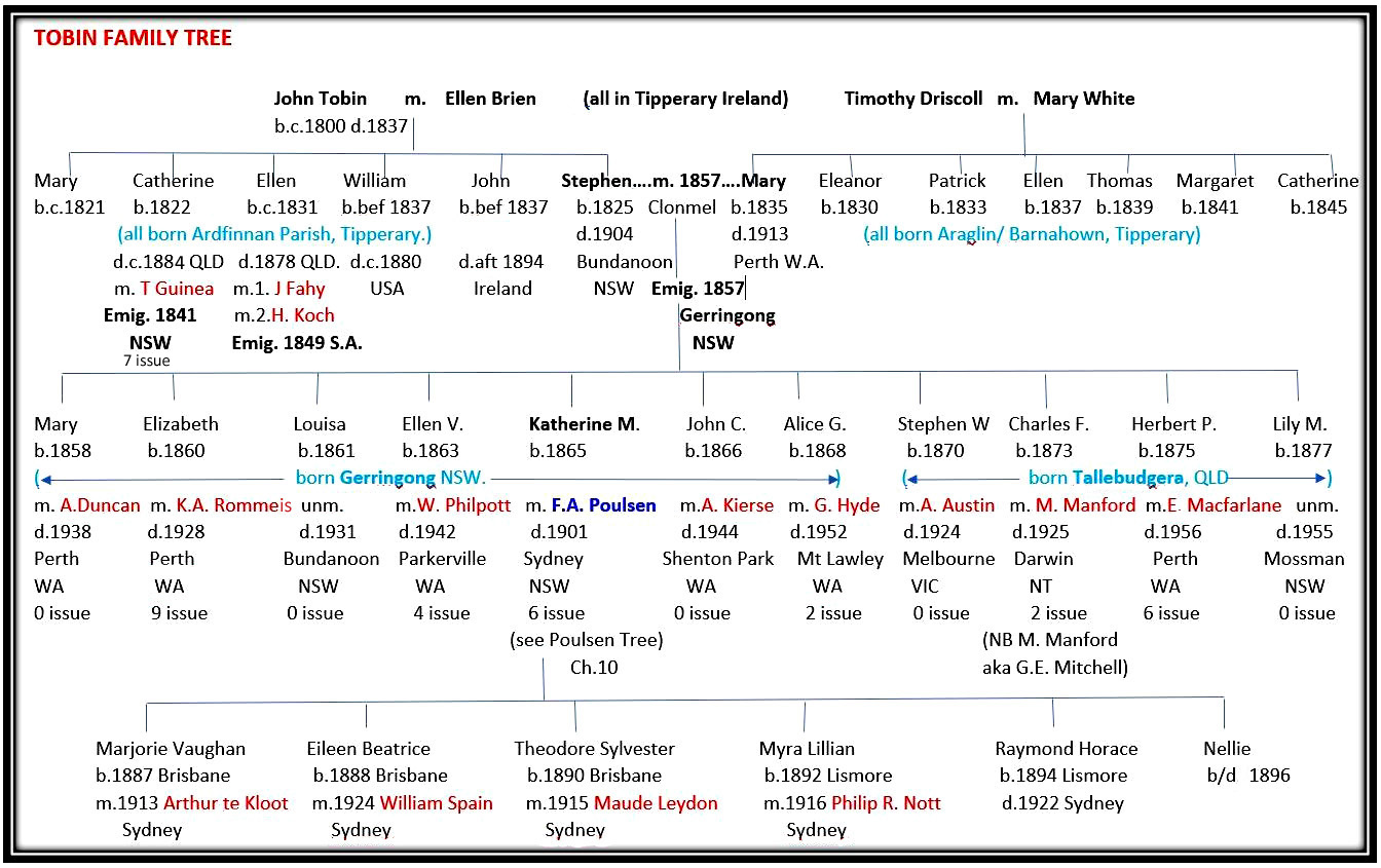 Tobin Family History: Stephen Tobin- Ch:2- Tobins & Driscolls in Tipperary