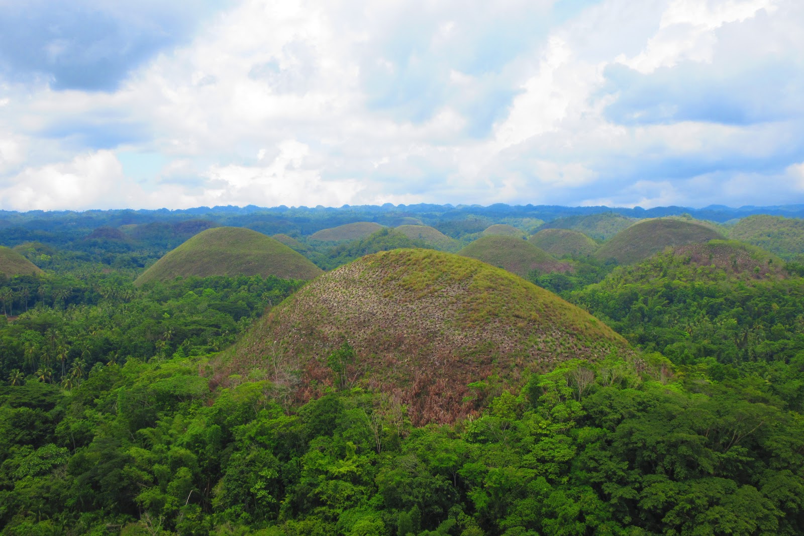 Where to Stay in Bohol - The Wandering Juan
